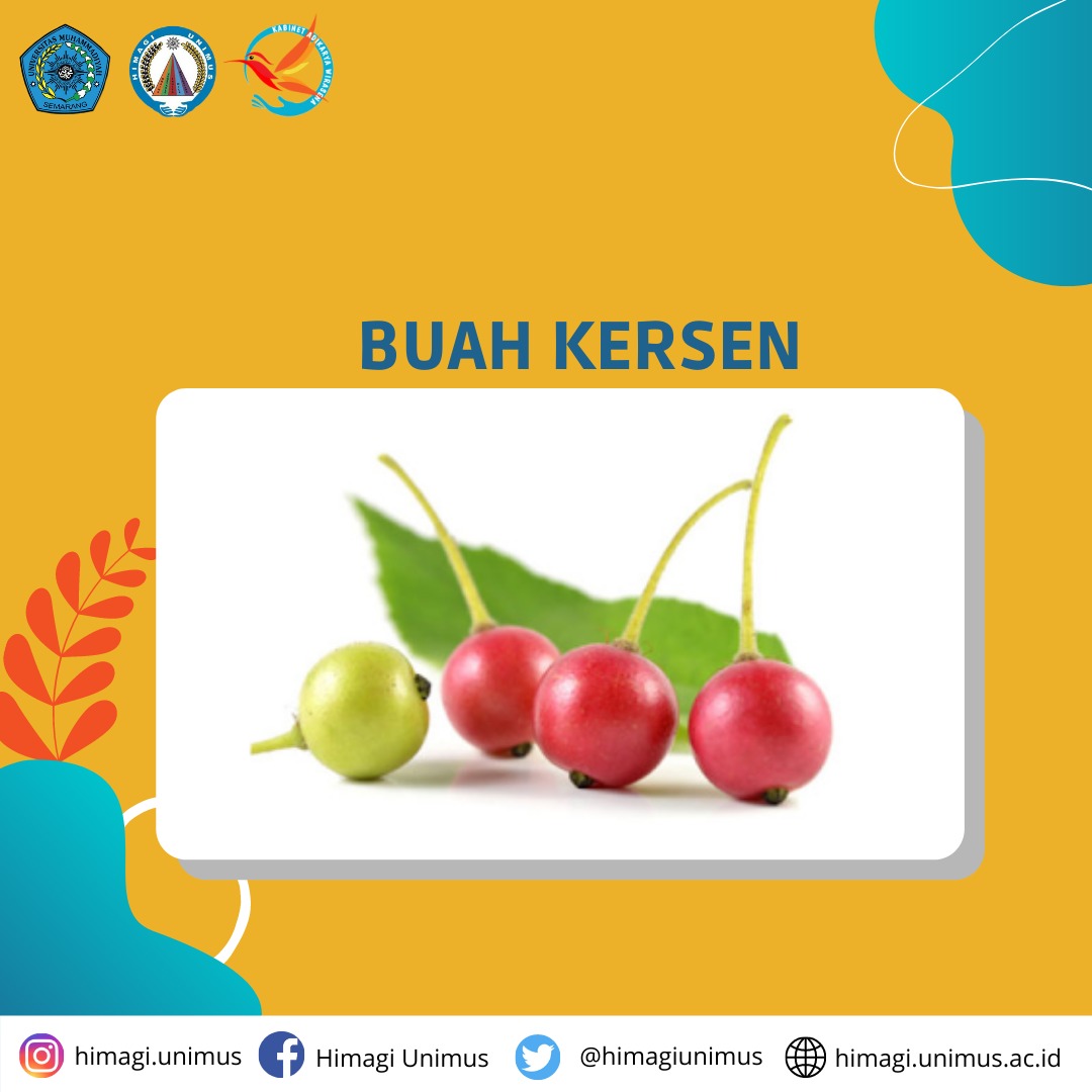 BUAH KERSEN – HIMAGI UNIMUS