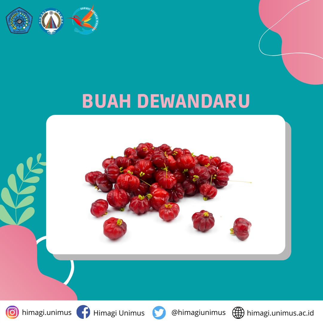 DEWANDARU – HIMAGI UNIMUS