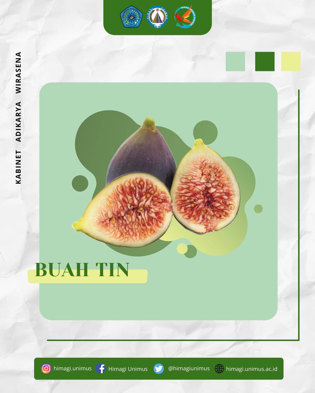 BUAH TIN – HIMAGI UNIMUS